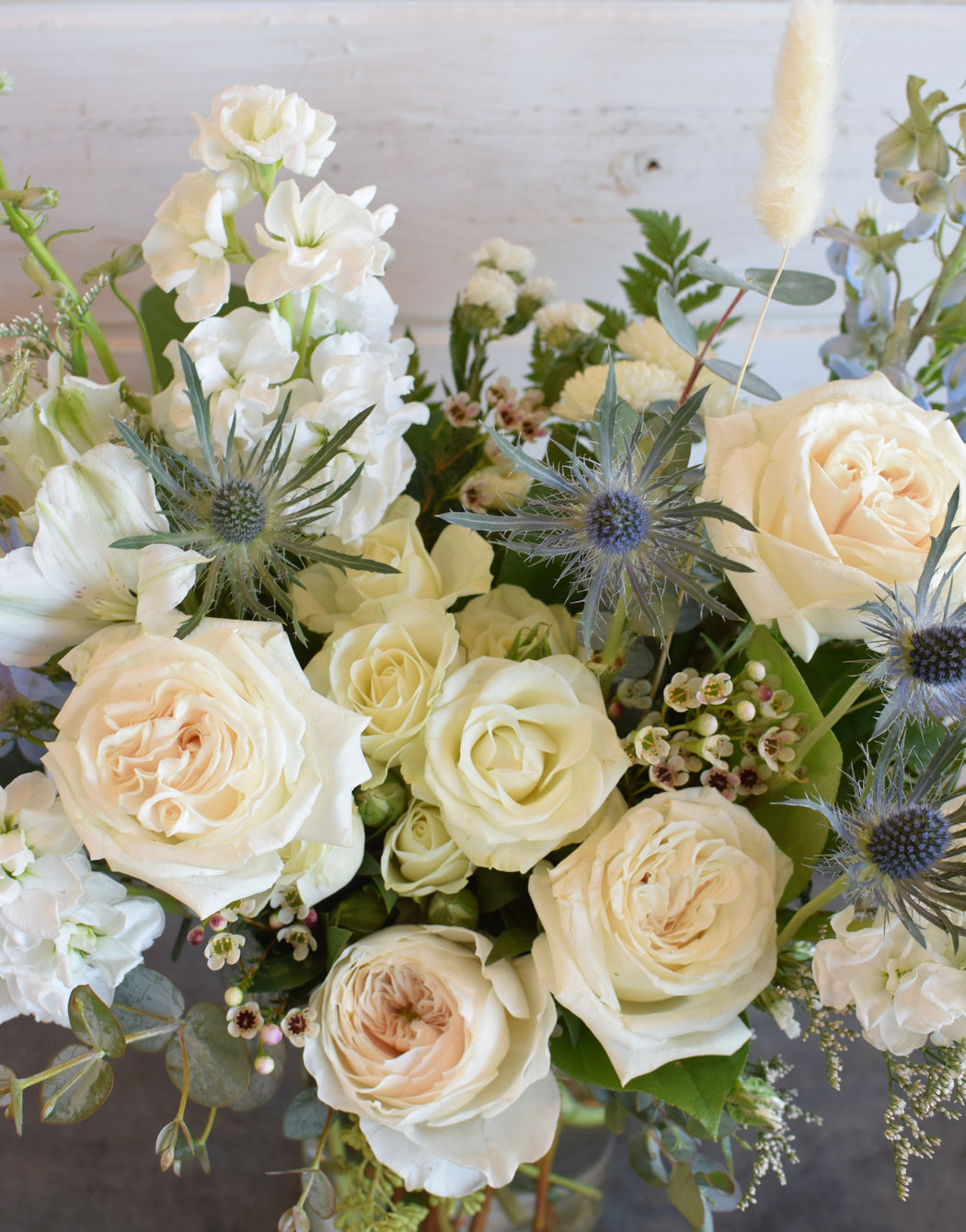 Twinkle | Flowerful Orange County