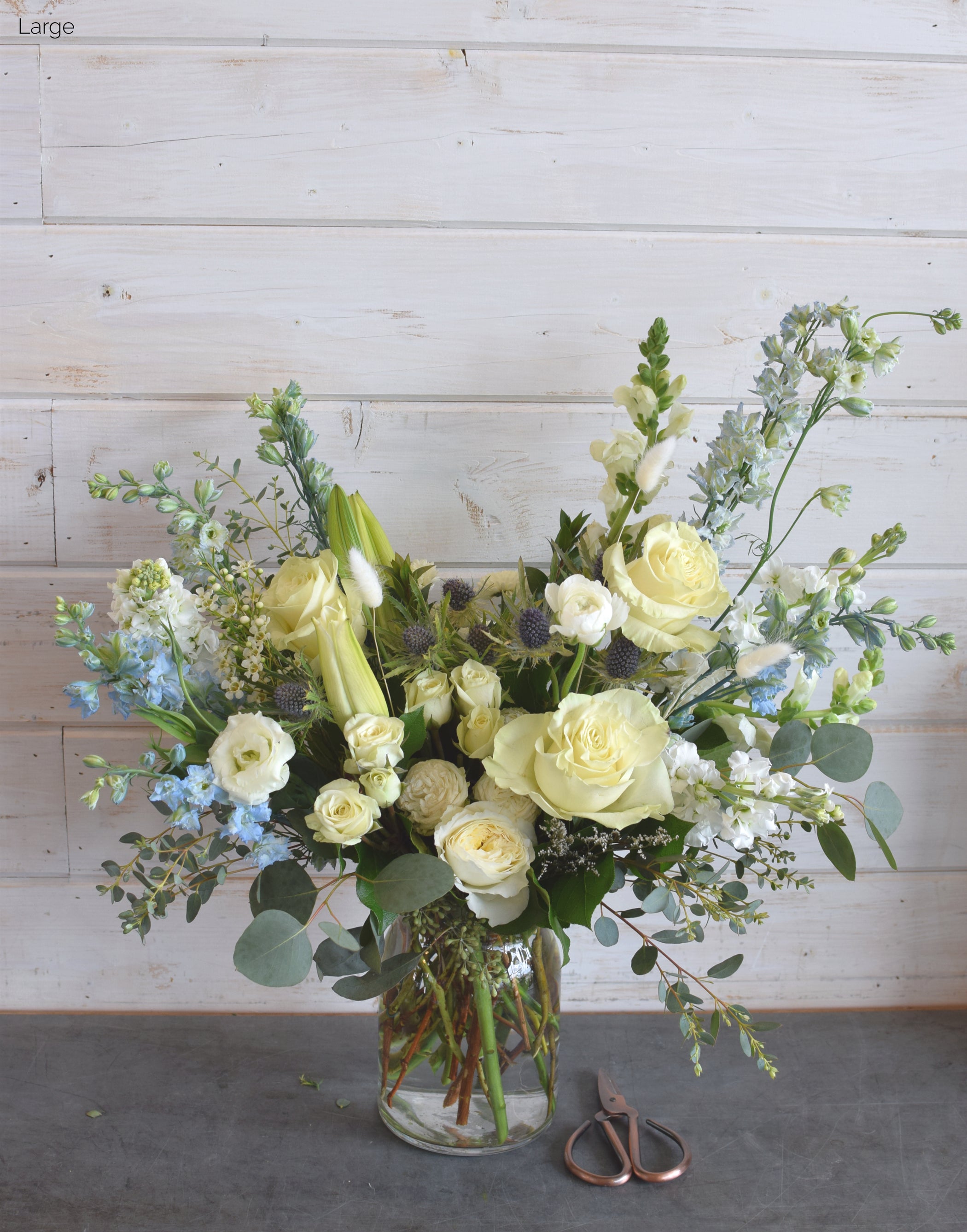 Twinkle | Flowerful Orange County