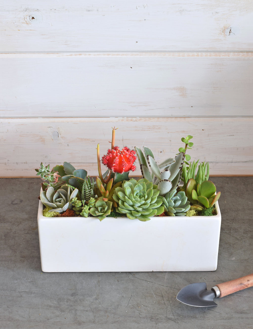 Sympathy Flowers & Funeral Arrangements — Flowerful