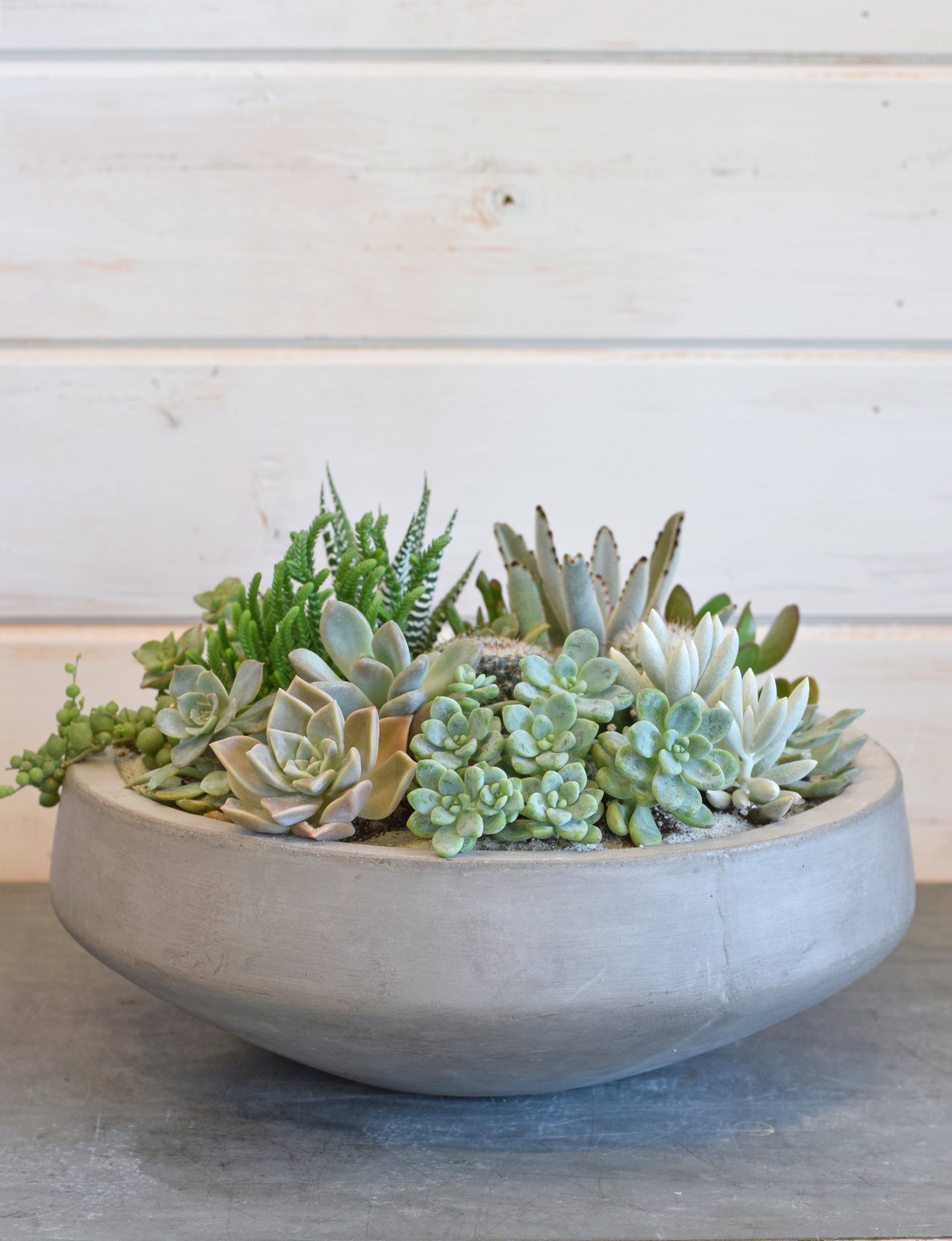 Succulent Basin — Flowerful